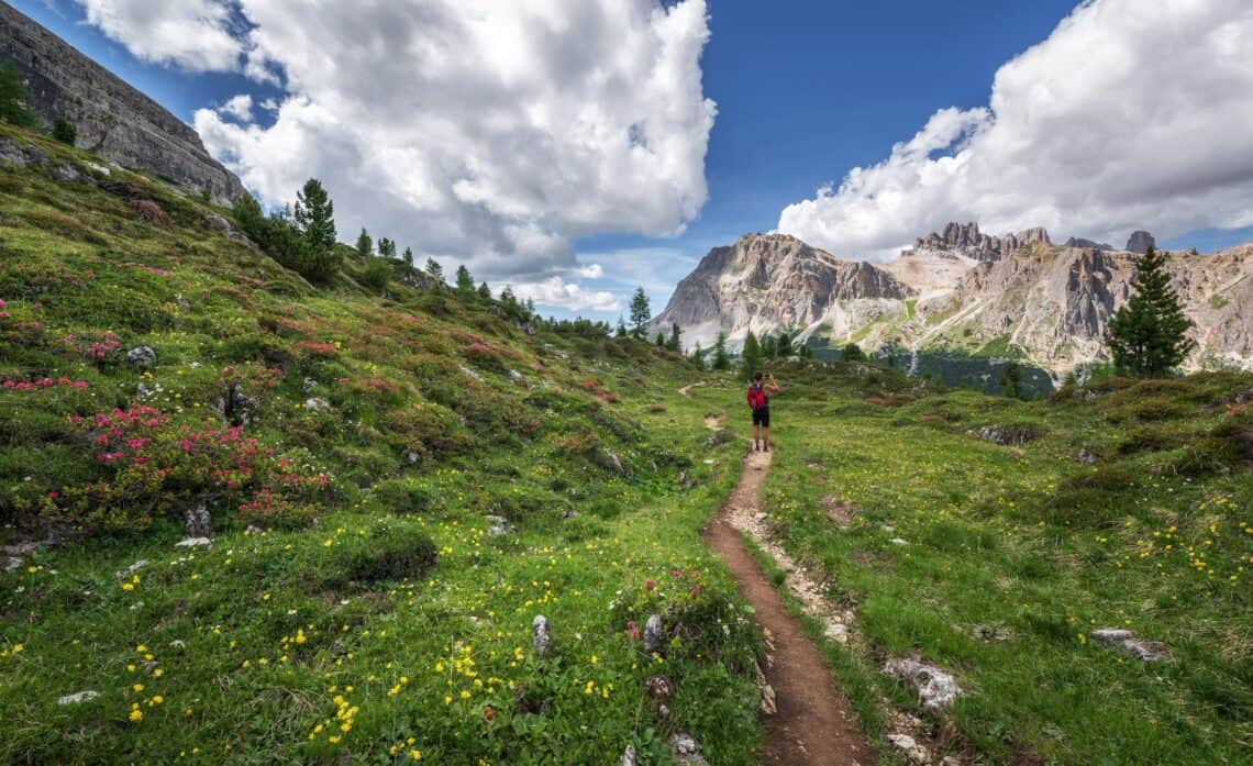 Top 10 ways to enjoy the mountains in spring | OVO Network