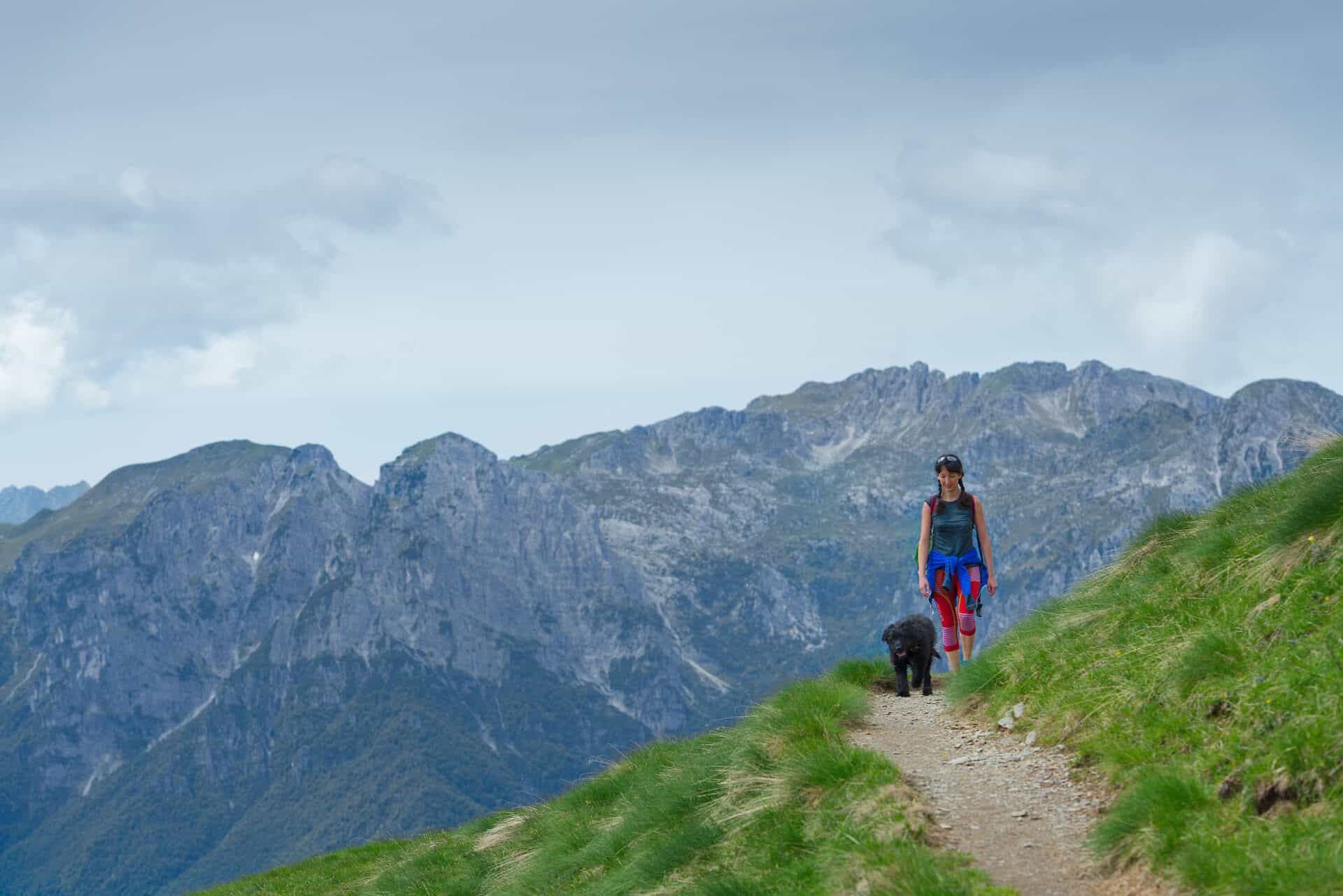 5 reasons to visit the Alps in May | OVO Network