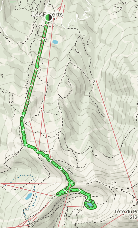 5 Spring hikes around Morillon | OVO Network