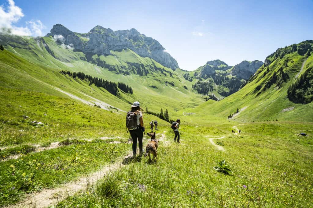 Partez à l'aventure tout en econcomisant avec le MultiPass | OVO Network